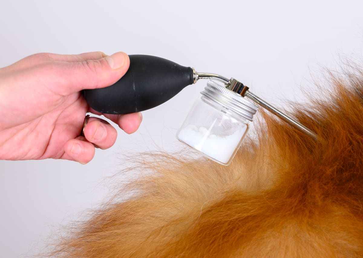 Aplicador de Tiza Show Tech+ Powder Puffer 50 ml – Fullpet